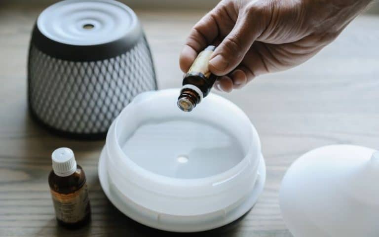 Young Living Diffuser Options - Healthy Wealthy Skinny